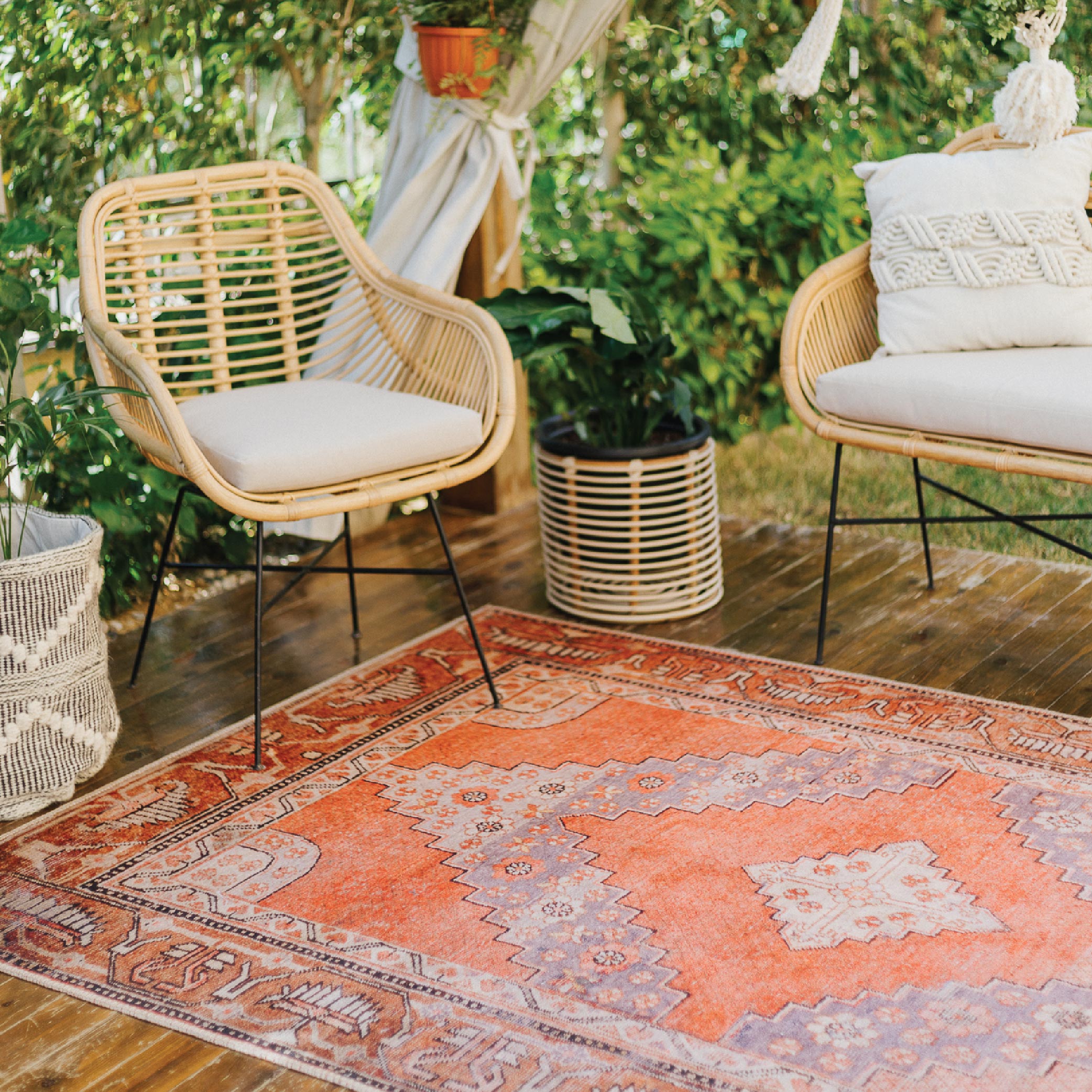 زولية تبريز – ariika IQ